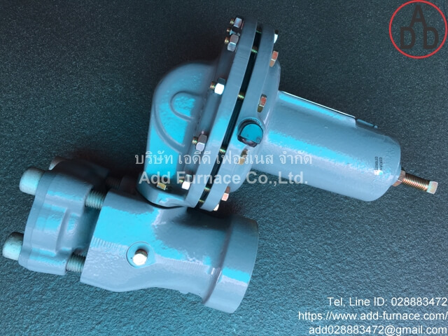 Fisher Big Joe Type 630 323 | 2inch 17~30psi - Thailand Agent