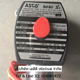 Asco Red Hat Rebuild Kit No 302273 Rebuild Kit No 302273,1/2",220v ...